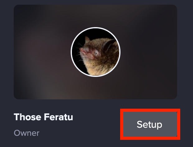 Ultimate Discord Moderation Guide 2025